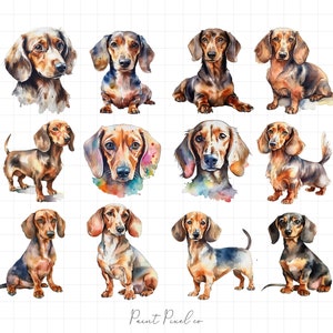 Dog Breeds Clipart PNG Watercolor Pup Clipart Puppy Pet Lover Clip Art ...