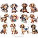 Dog Breeds Clipart PNG Watercolor Pup Clipart Puppy Pet Lover Clip Art ...