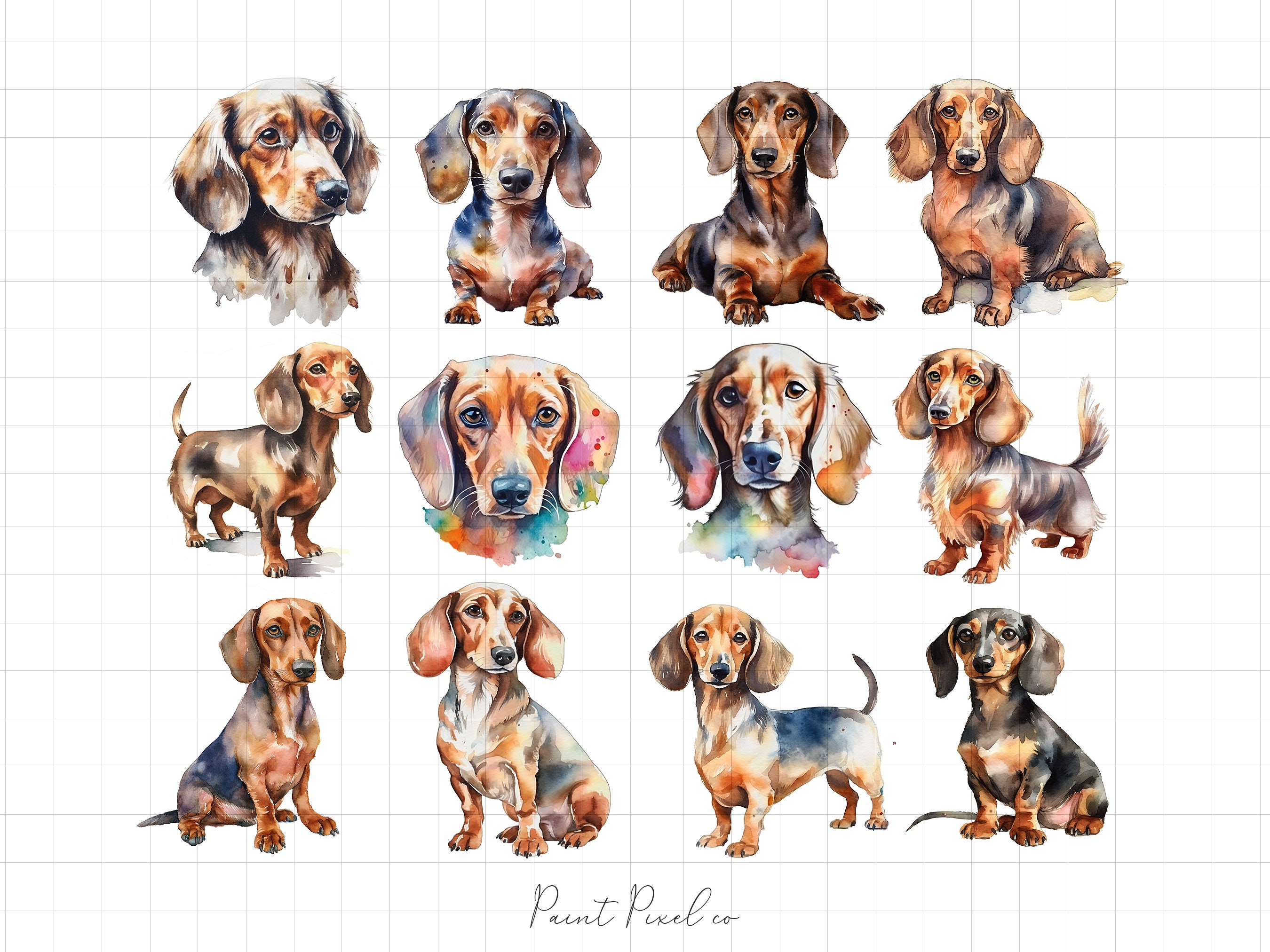 Dog Breeds Clipart PNG Watercolor Pup Clipart Puppy Pet Lover Clip Art ...
