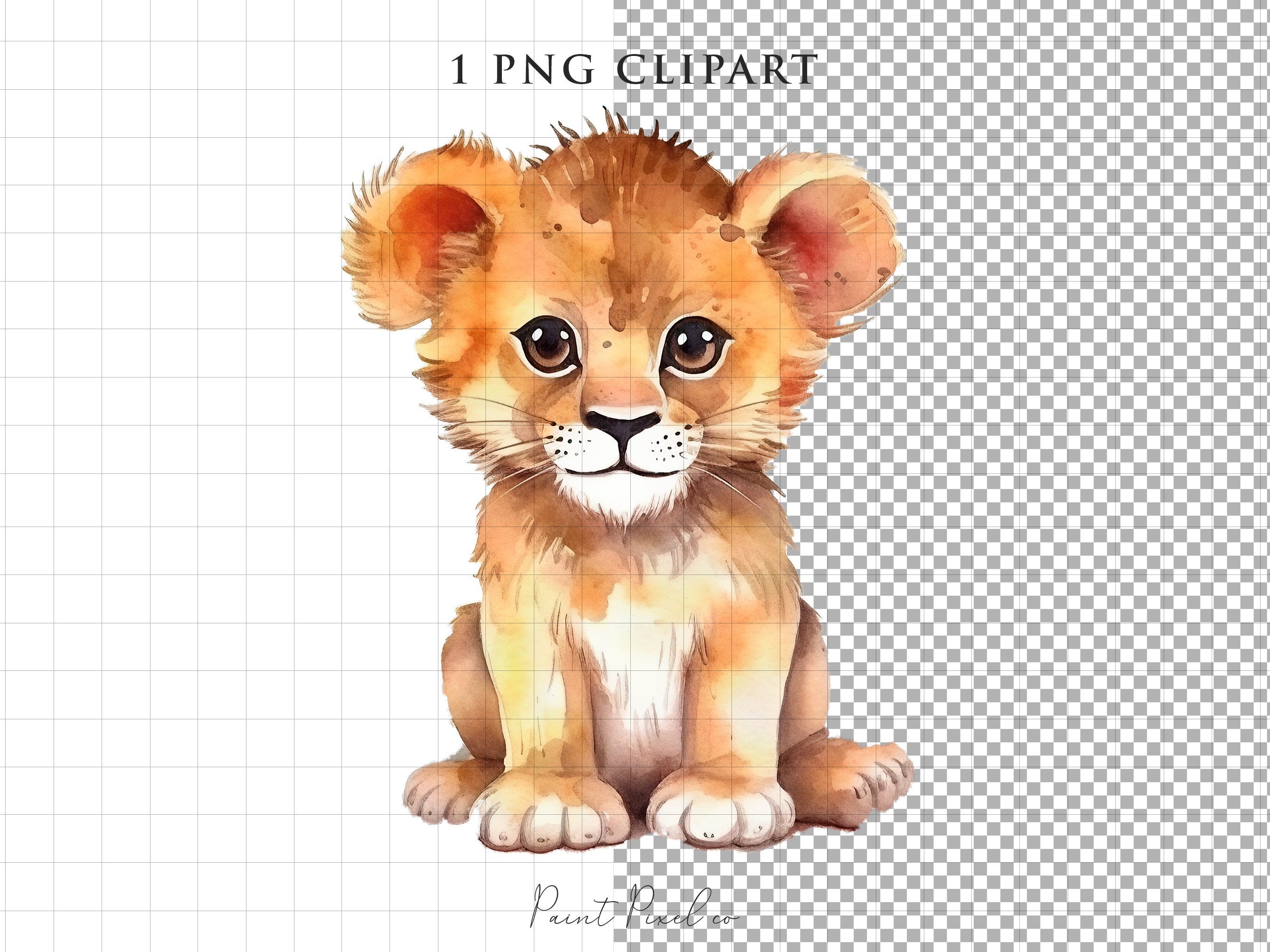Baby Safari Animals Clipart Baby Lion PNG Watercolor Jungle - Etsy