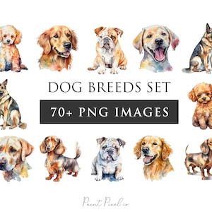 Dog Breeds Clipart PNG Watercolor Pup Clipart Puppy Pet Lover Clip Art ...