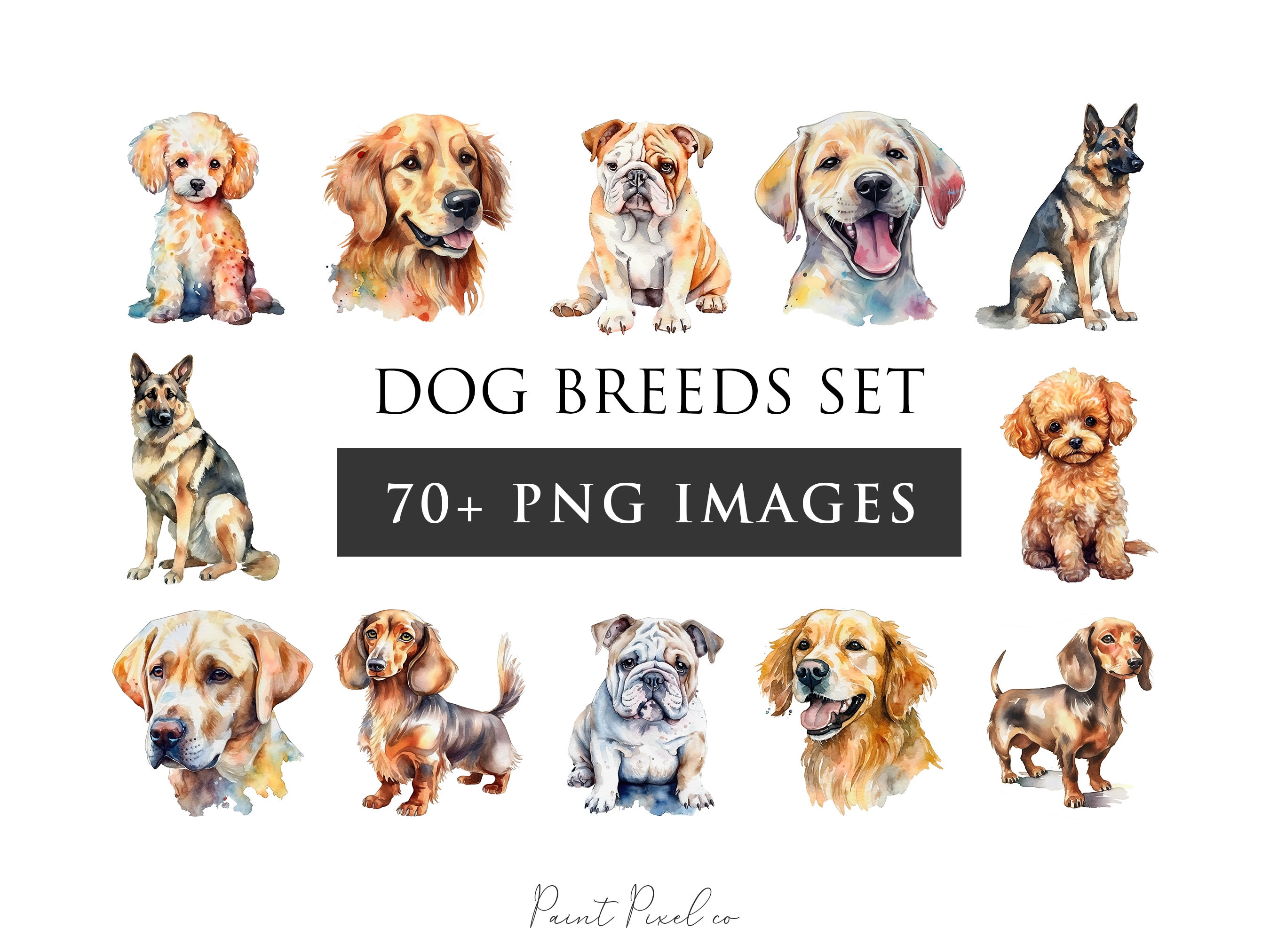 Dog Breeds Clipart PNG Watercolor Pup Clipart Puppy Pet Lover Clip Art ...