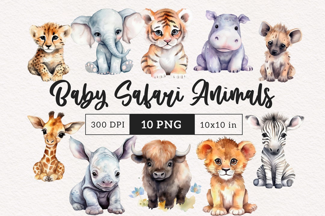 Baby Safari Animals PNG Bundle Watercolor Safari Baby Shower Clipart ...