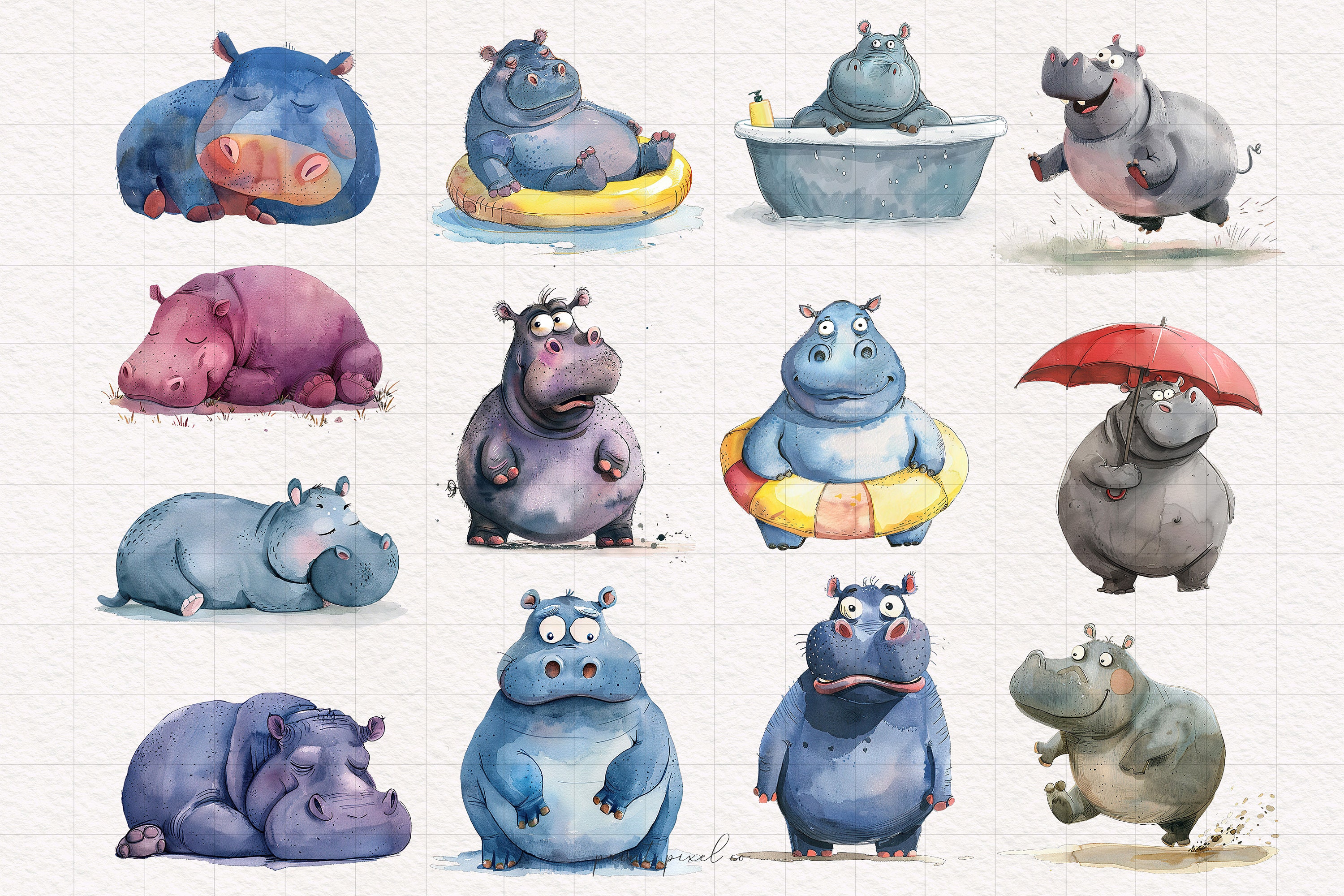 Quirky Hippo PNG Funny Hippopotamus Clipart Silly Safari Animals ...