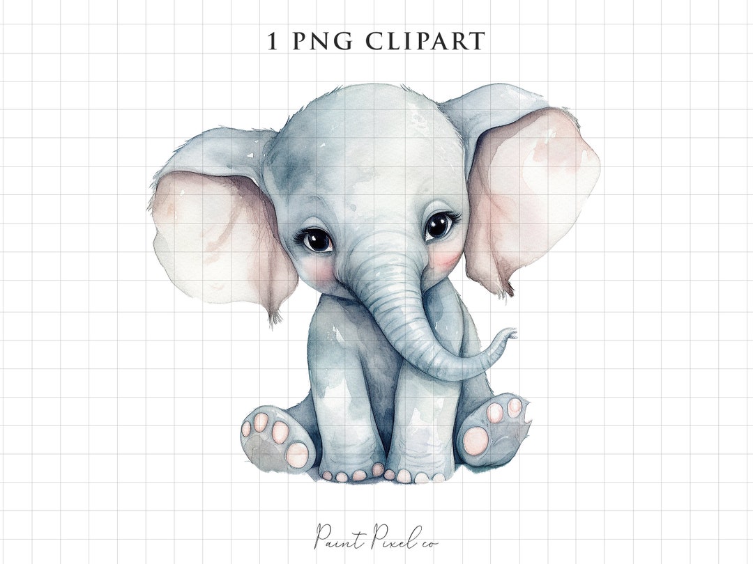 Baby Safari Animal Clipart Baby Elephant PNG Watercolor Jungle Animals ...
