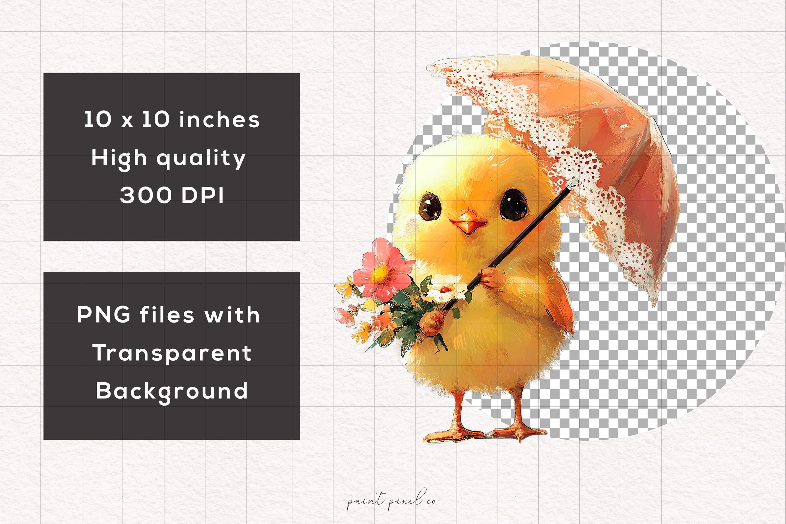 18 Cute Spring Chick PNG Baby Chicken With Umbrella Watercolor Spring ...