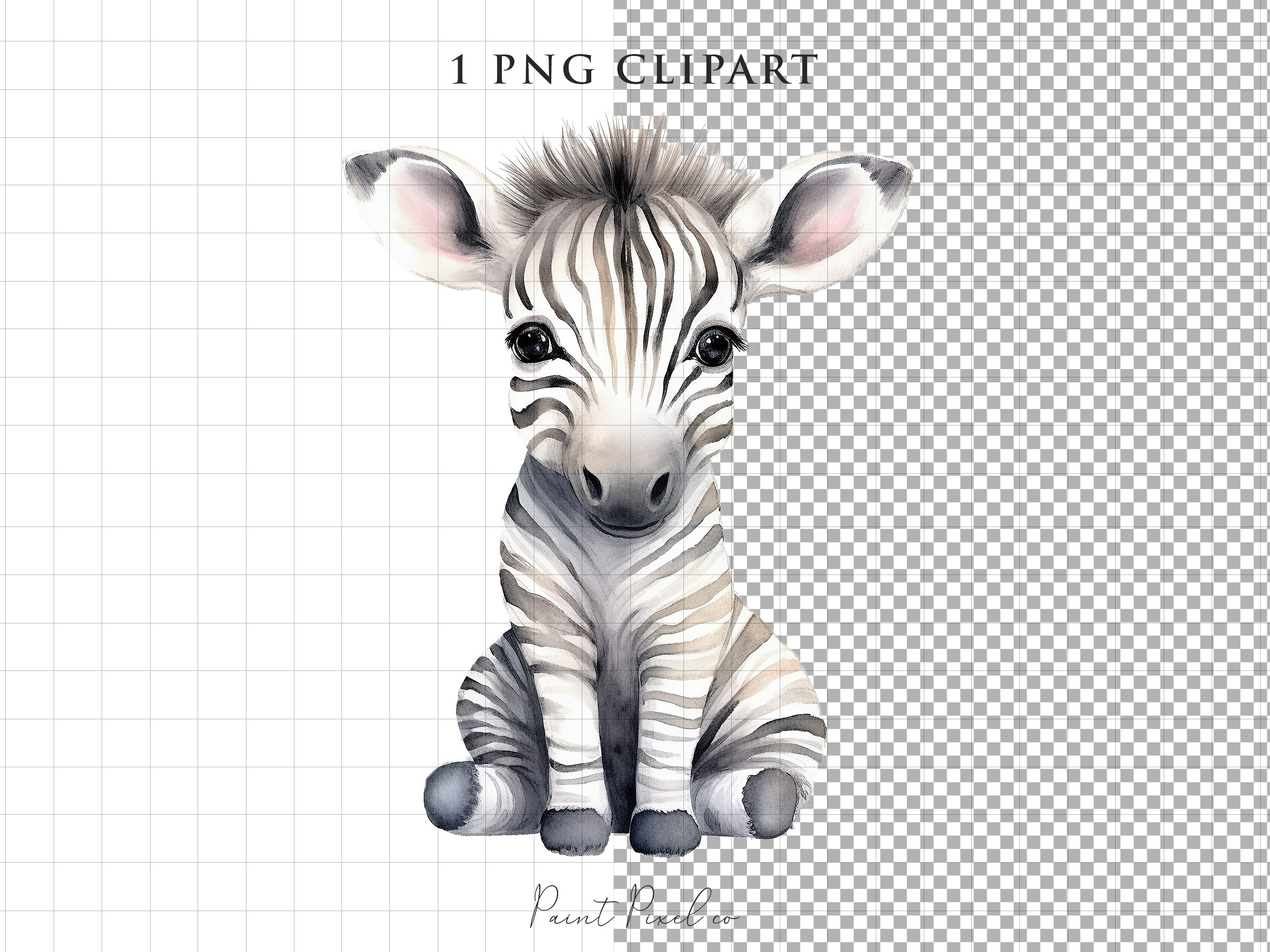 Baby Safari Animal Clipart Baby Zebra PNG Watercolor Jungle - Etsy