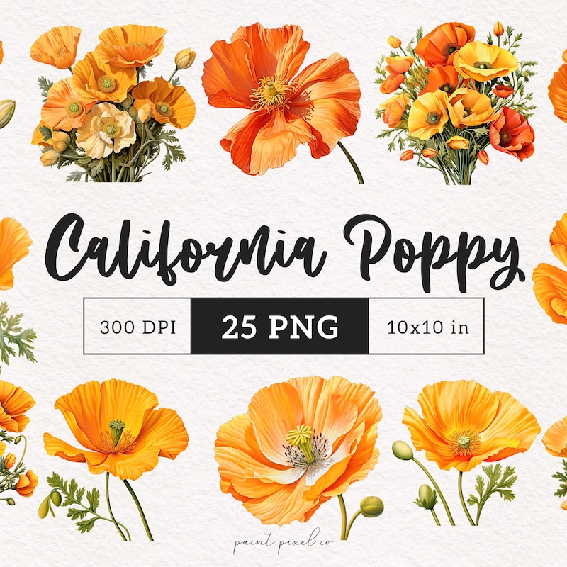 California Golden Poppy Svg - Etsy
