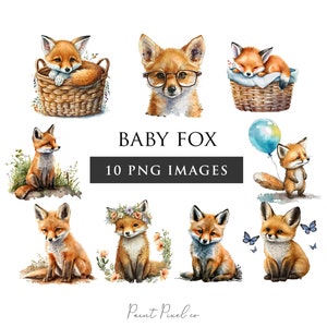 Woodland Animals PNG Watercolor Baby Fox Clipart Cute Baby Shower ...