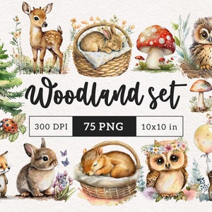 75 Woodland Creatures PNG Watercolor Baby Animals Clipart Baby Shower ...