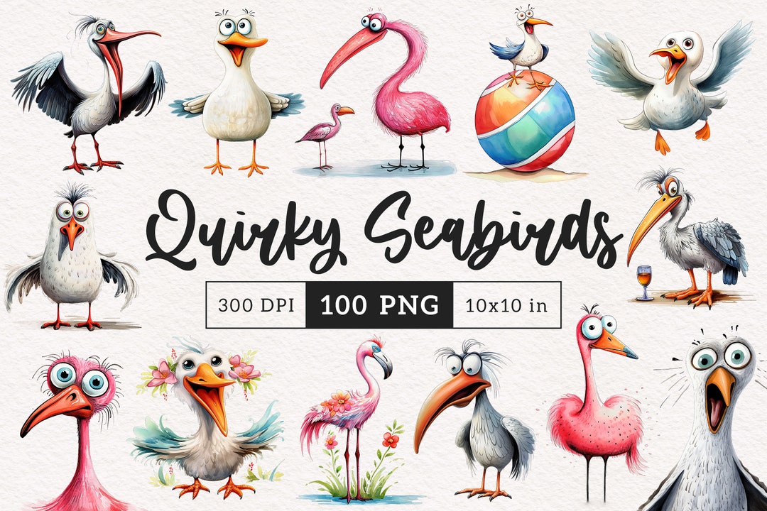 Quirky Ocean Birds Clipart Coastal Summer Birds PNG Flamingo Graphics Pelican Whimsical Seagull ...
