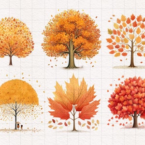 Autumn Trees Clipart Boho Tree PNG Scrapbook Watercolor Fall Foliage ...