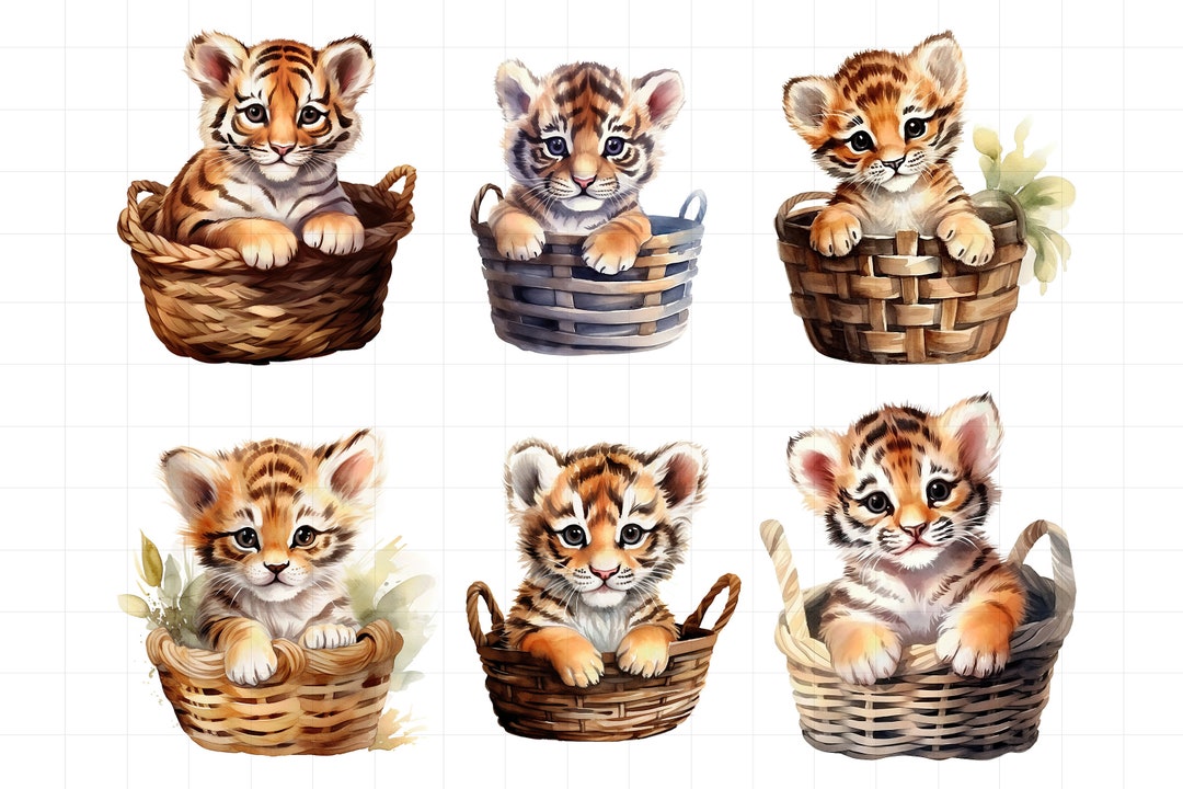 Tigers in Basket Clipart PNG Safari Animal Watercolor Sublimation Tiger ...
