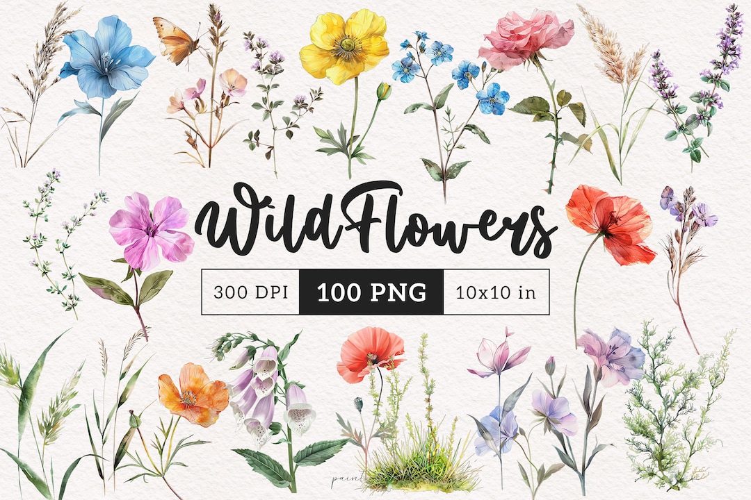 Wildflowers Clipart Wild Flower PNG Watercolor Spring Floral Blooms ...