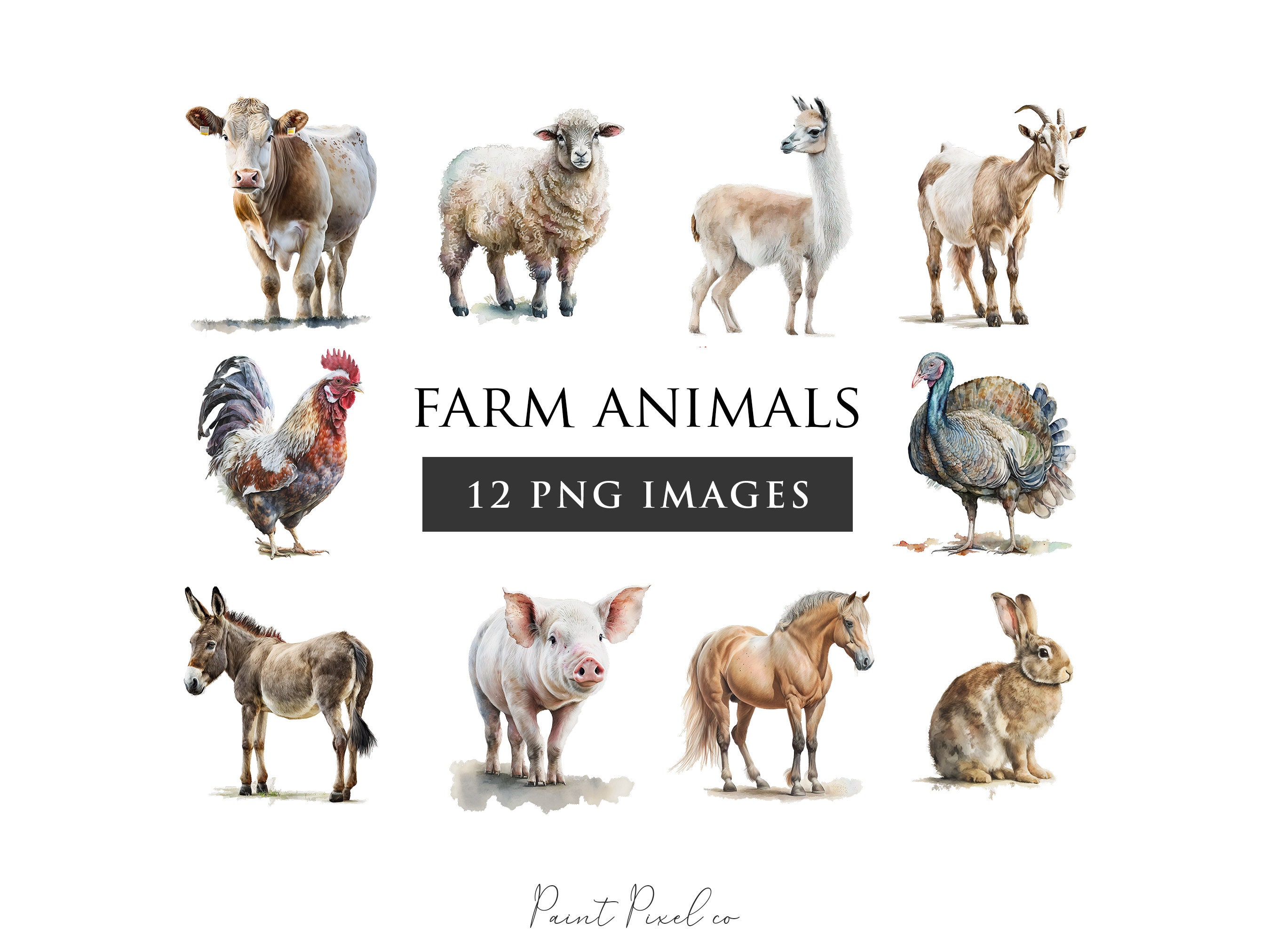 Farm Animals PNG Baby Animals Lamb PNG Baby Sheep Cute Animals - Etsy