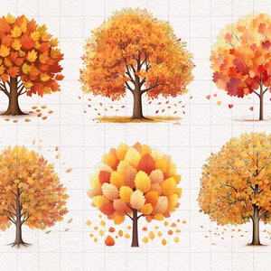 Autumn Trees Clipart Boho Tree PNG Scrapbook Watercolor Fall Foliage ...