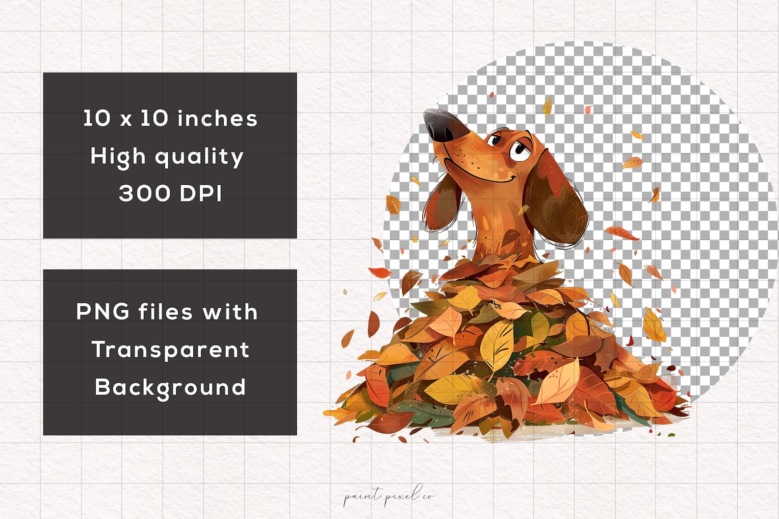 Quirky Dachshund Clipart Dash PNG Whimsical Puppy Sublimation Clip Art ...