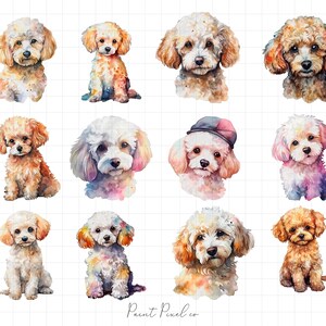 Dog Breeds Clipart PNG Watercolor Pup Clipart Puppy Pet Lover Clip Art ...