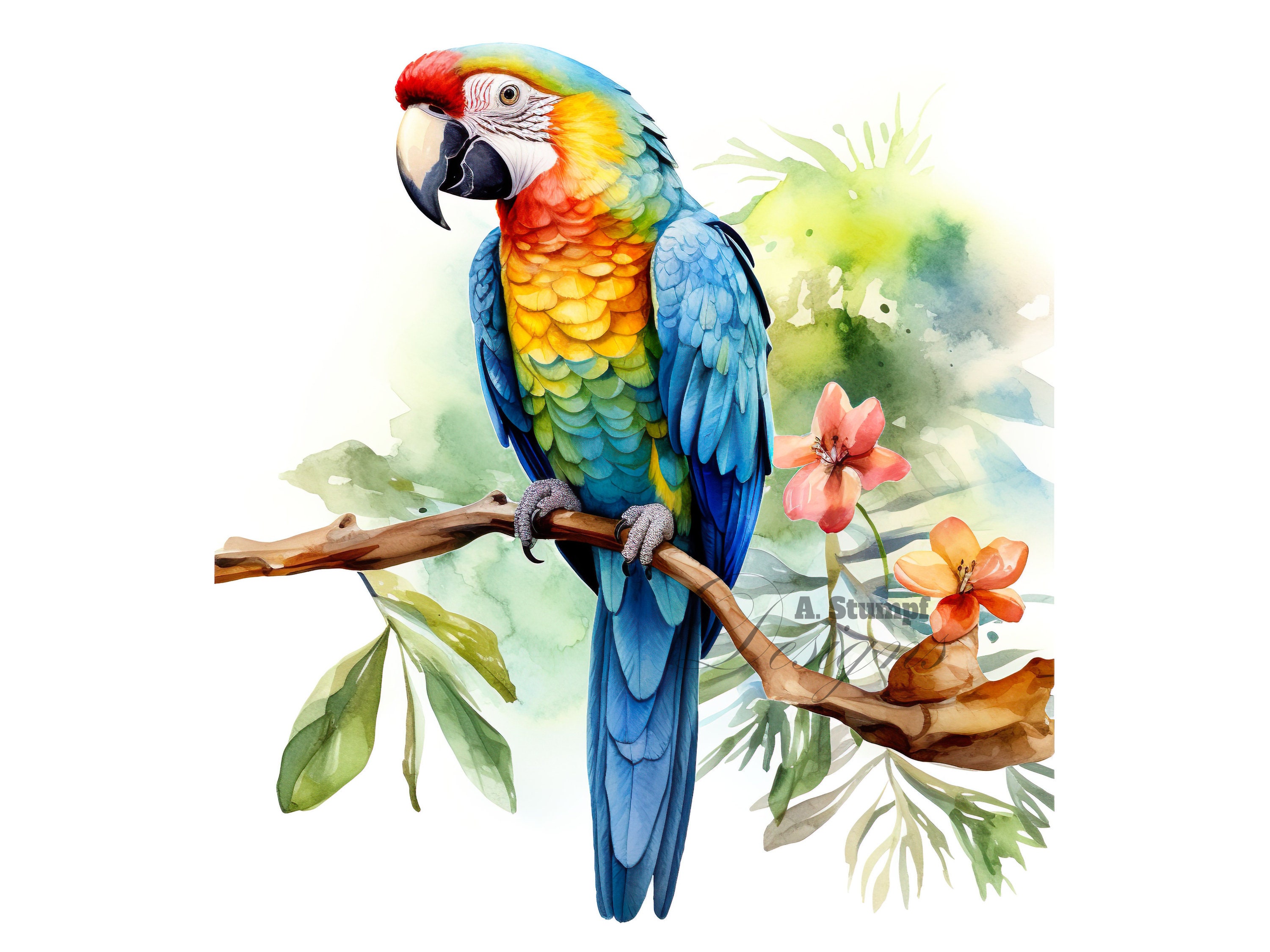 10 Parrot Clipart Set Tropical Bird Clip Art Bundle Digital Watercolor ...
