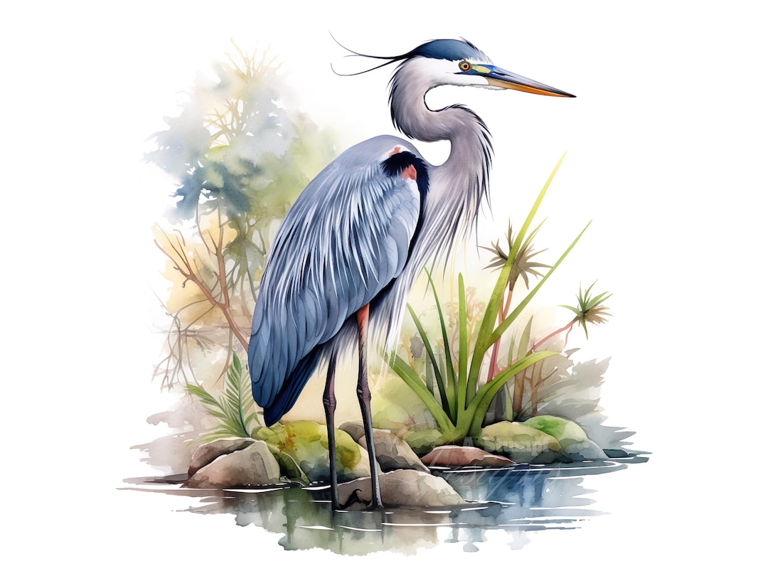 10 Blue Heron Clipart Set Digital Watercolor Painting Coastal Wetlands ...