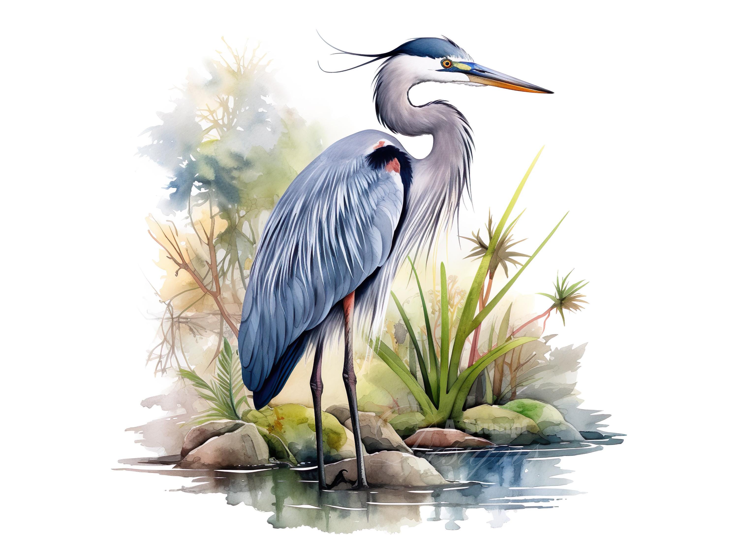 10 Blue Heron Clipart Set Digital Watercolor Painting Coastal Wetlands ...
