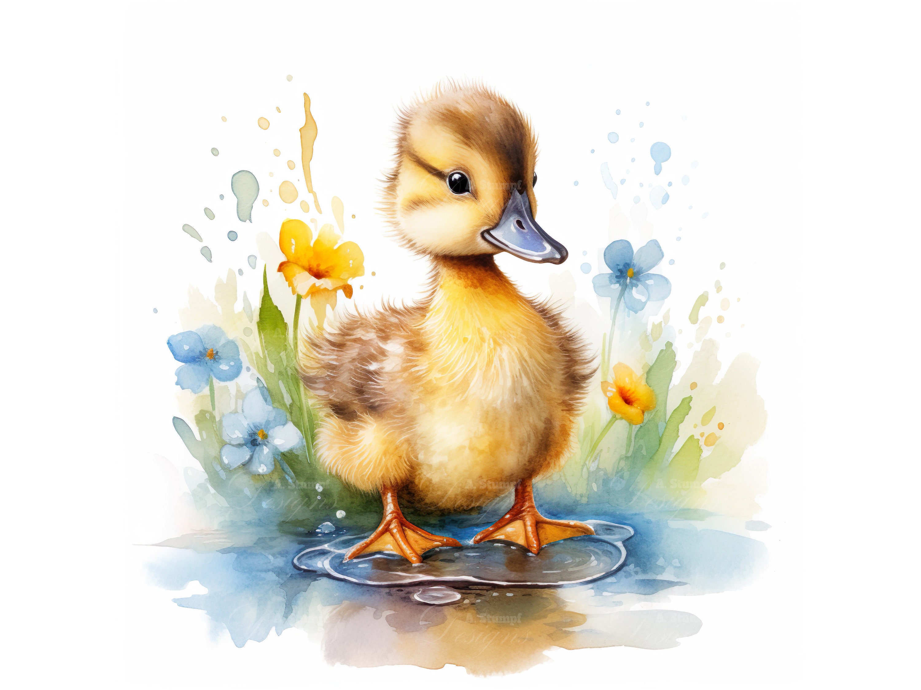 10 Duckling Clipart Set Digital Watercolor Painting Little Baby Duck ...