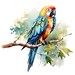 Parrot Watercolor Clipart Set 10 Digital Images Clip Art Watercolor Art ...