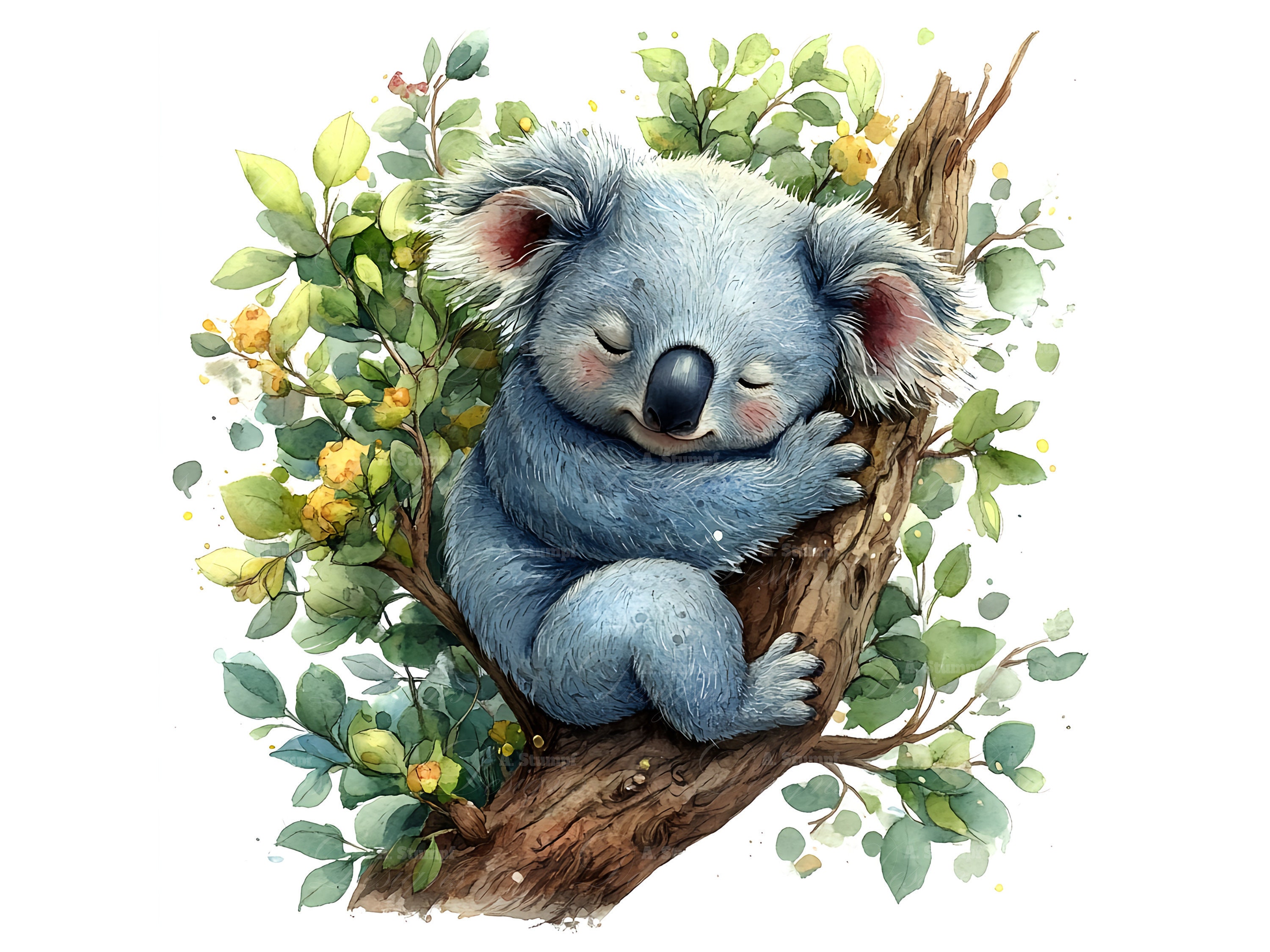 10 Koala Bear Clipart Set Digital Watercolor Painting Australian ...