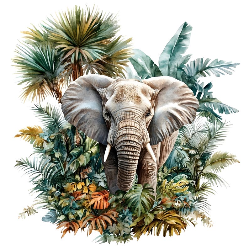 10 Elephant Clipart Set Digital Watercolor Painting African Safari ...