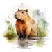 10 Capybara Clipart Set Digital Watercolor Painting Cute Adorable ...