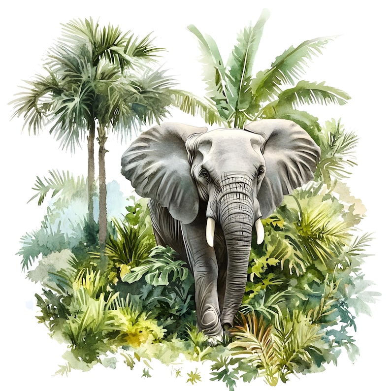 10 Elephant Clipart Set Digital Watercolor Painting African Safari ...