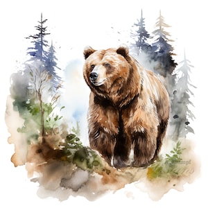 10 Bear Clipart Set Digital Watercolor Mammal Painting Woodland Animal ...