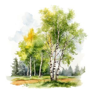 10 Birch Tree Clipart Nature Clip Art Bundle Watercolor Printable Wall ...