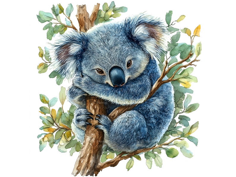 10 Koala Bear Clipart Set Digital Watercolor Painting Australian ...