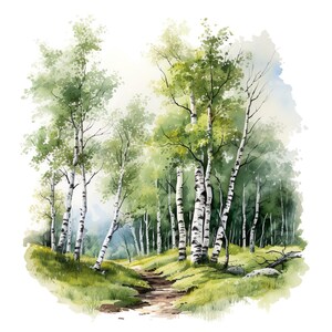 Birch Tree Clipart Nature Clip Art Bundle Watercolor Printable Wall Art ...