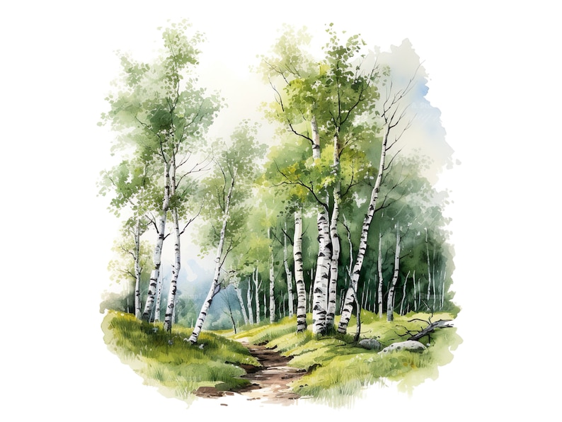 Birch Tree Clipart Nature Clip Art Bundle Watercolor Printable Wall Art ...