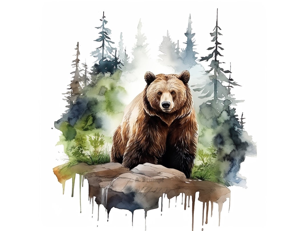 10 Bear Clipart Set Digital Watercolor Mammal Painting Woodland Animal ...