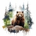 10 Bear Clipart Set Digital Watercolor Mammal Painting Woodland Animal ...