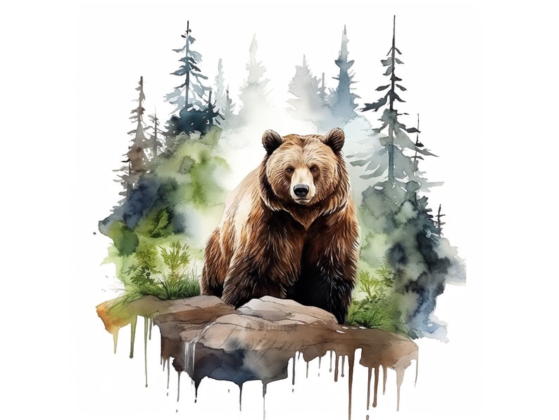 10 Bear Clipart Set Digital Watercolor Mammal Painting Woodland Animal ...