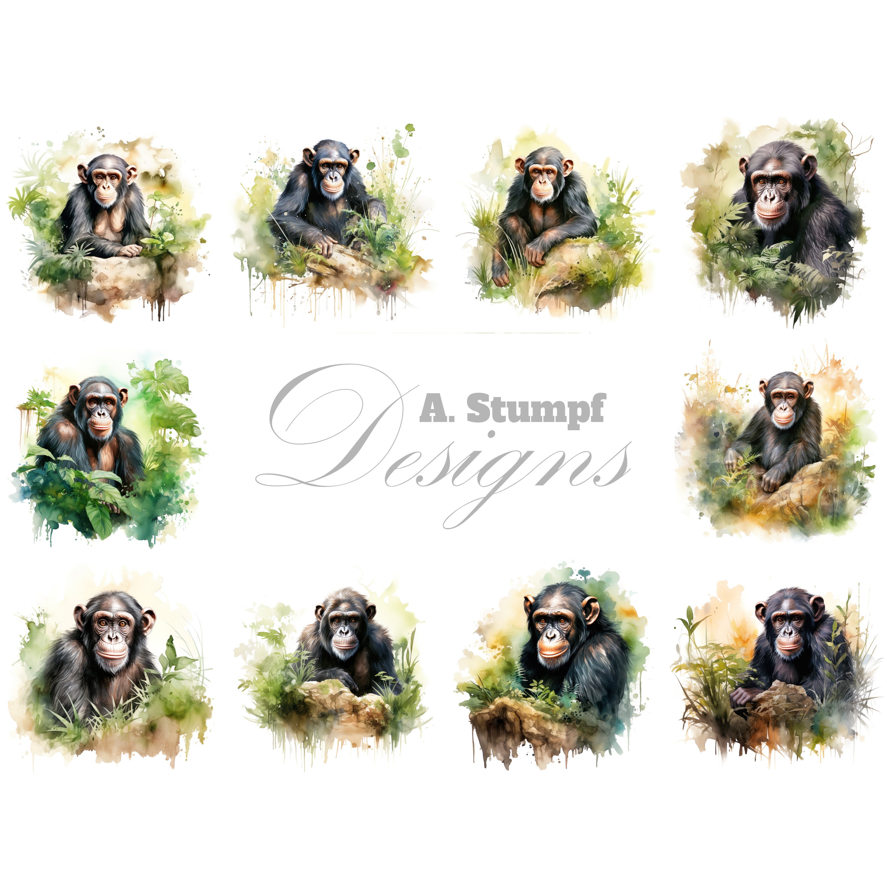 Chimpanzee, Clipart Set, Digital Chimp Art, Ape Clip Art, Primate ...