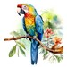 Parrot Watercolor Clipart Set 10 Digital Images Clip Art Watercolor Art ...
