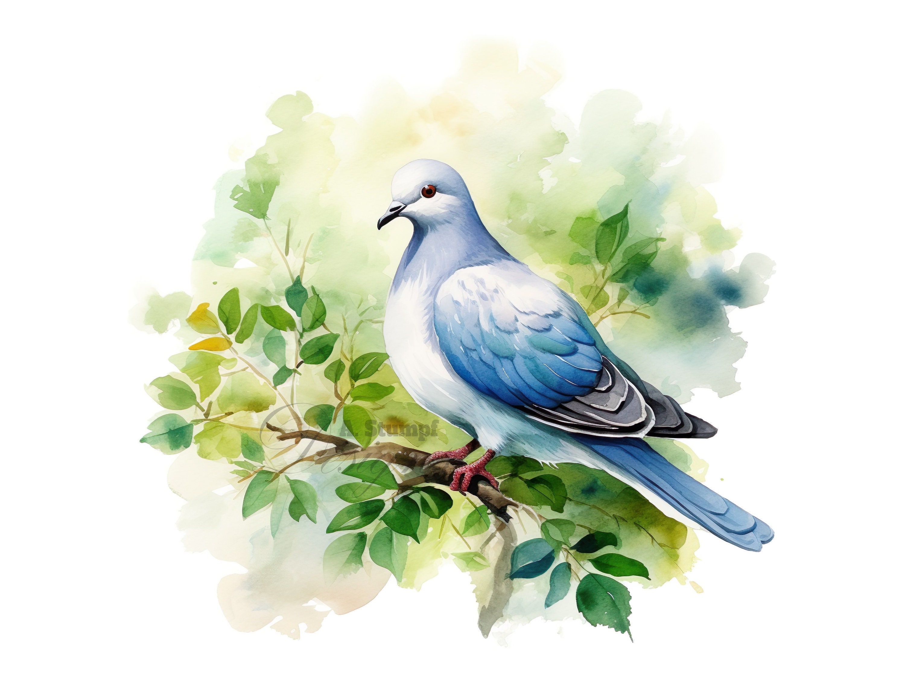 Summer Dove Clipart Set, Dove Poster Print, Watercolor Art, Dove ...