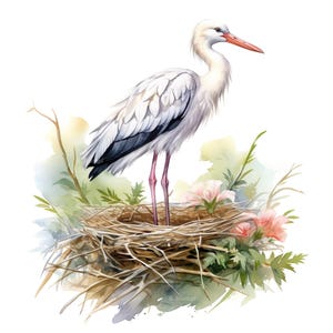 10 Stork in Nest Clipart Set, Digital Watercolor Bird Painting ...