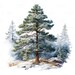 10 Pine Tree in Winter Clipart Set, Digital Watercolor Nature Painting ...