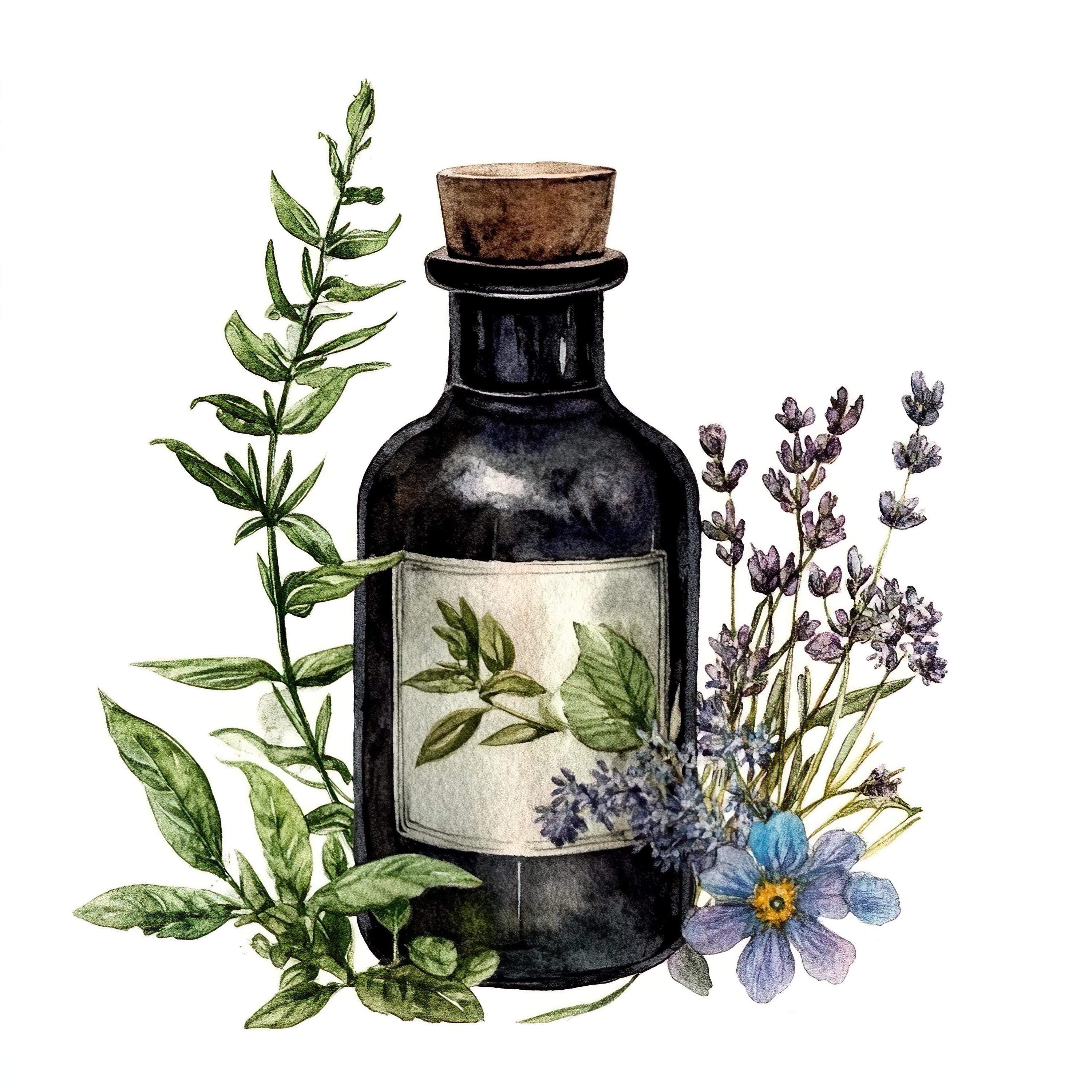 10 Gothic Pharmacy Bottle Clipart Set Digital Watercolor Painting ...