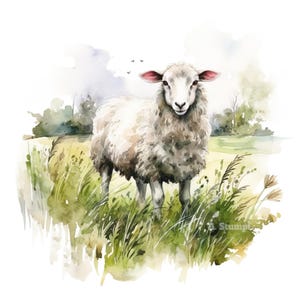 10 Wooly Fluffy Sheep Clipart Set Digital Watercolor Painting Farm ...