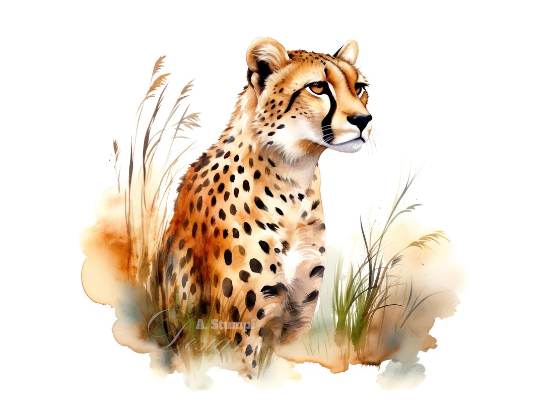 10 Cheetah Clipart Set Digital Watercolor Painting African Safari ...