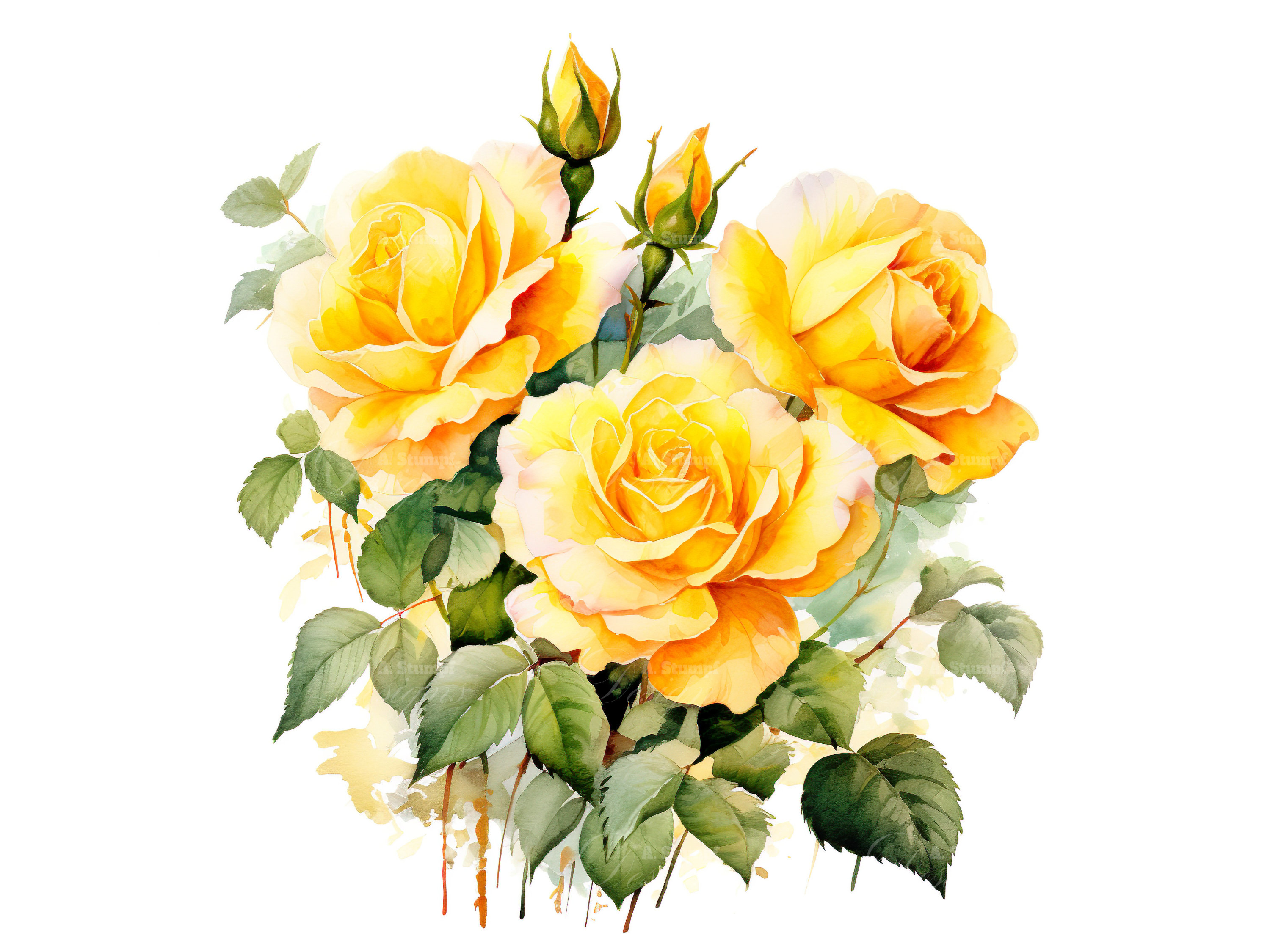 Yellow Roses Clipart Set Watercolor Flowers Bundle Floral Graphics ...
