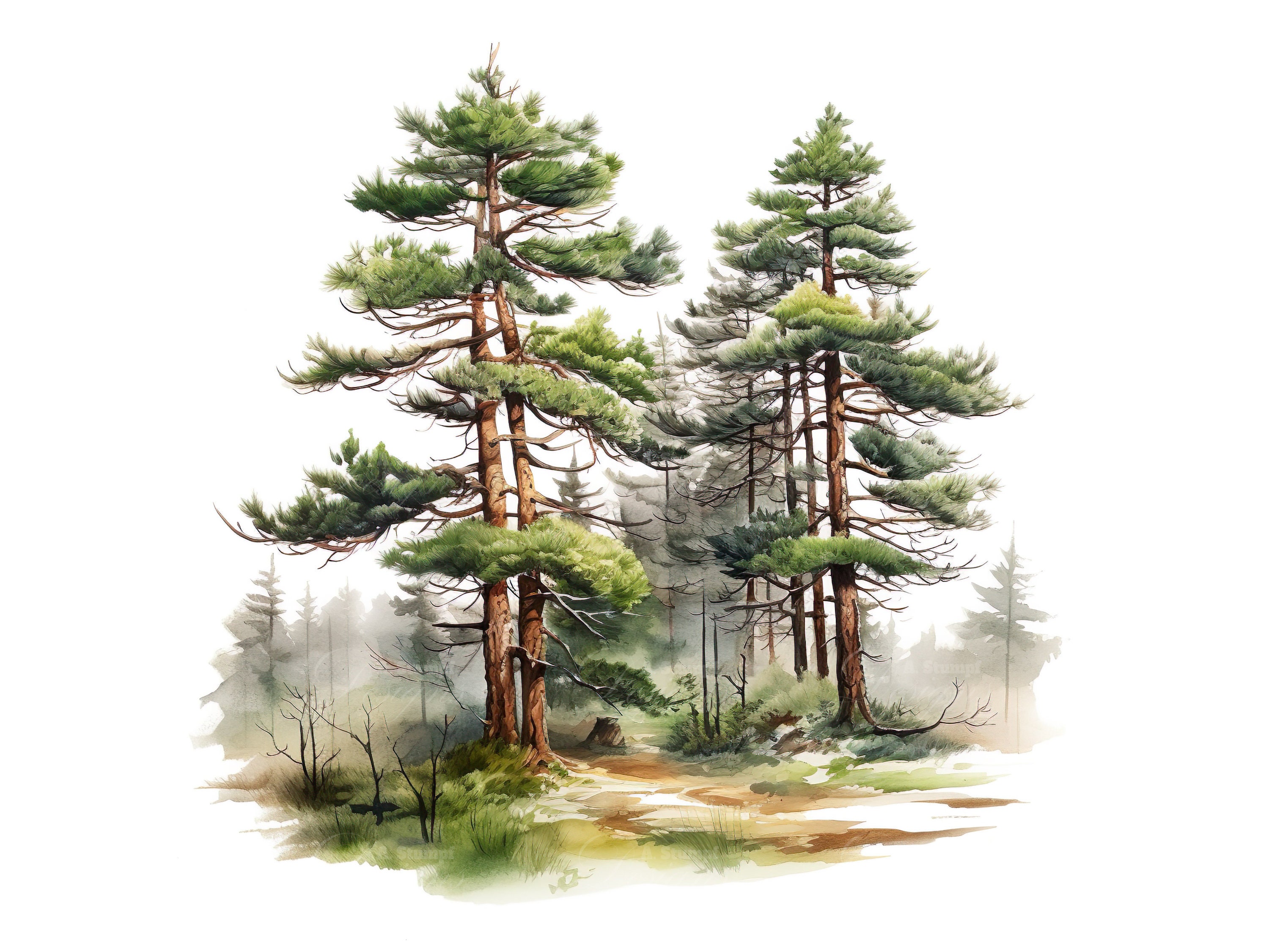 10 Pine Forest Landscape Scene Clipart Set Digital Watercolor Woodland ...