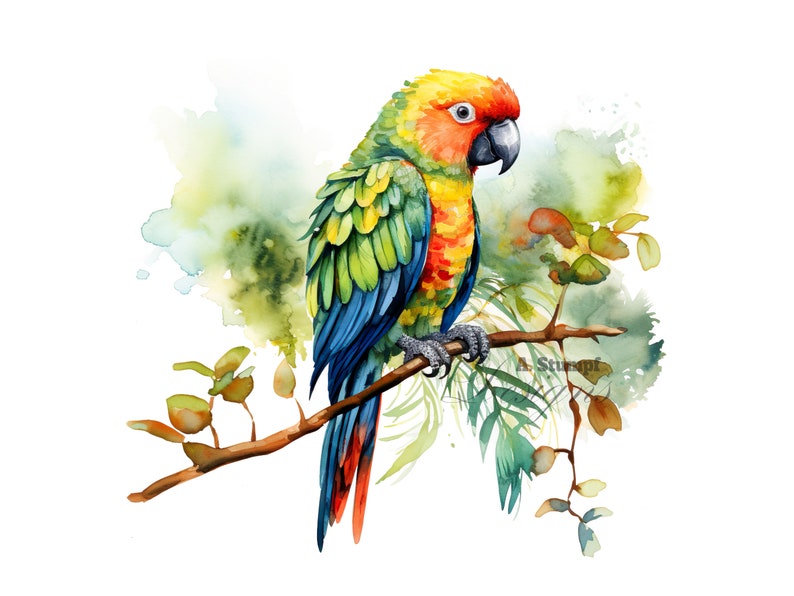 10 Parrot Clipart Set Tropical Bird Clip Art Bundle Digital Watercolor ...